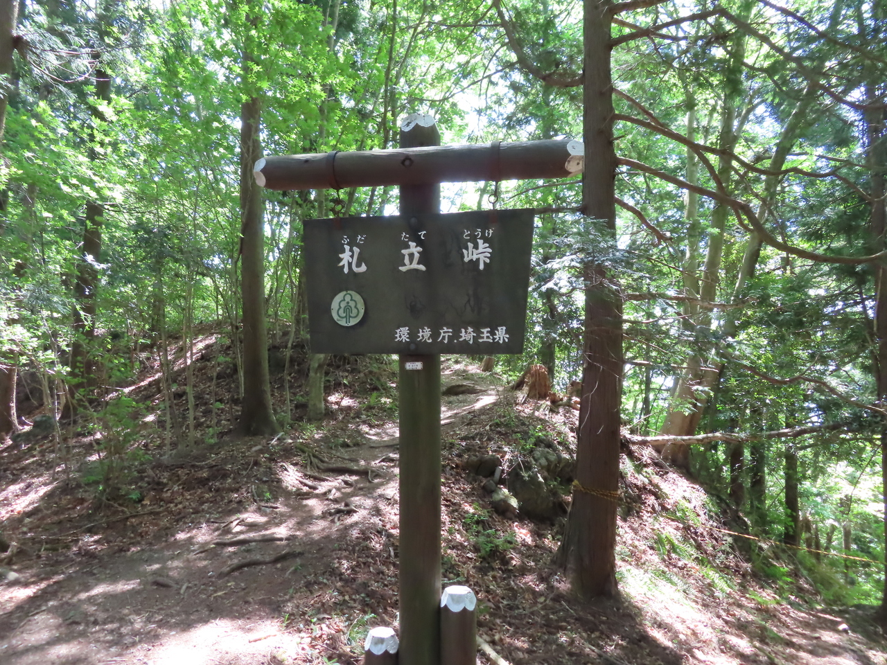 とうとう満願の34番札所へ: 楽々バイオリンライフ 60、70代編